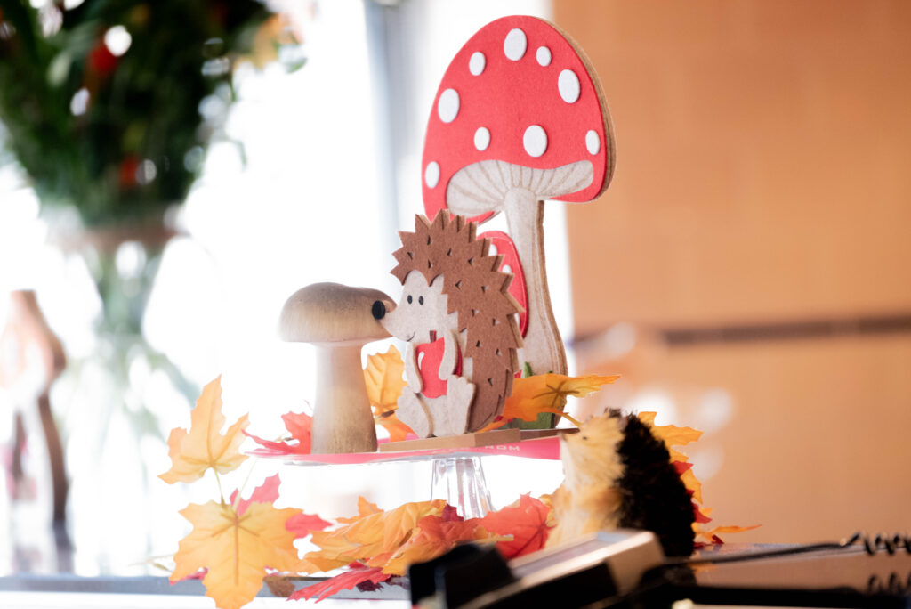 Mestrom – Bijzonder Born